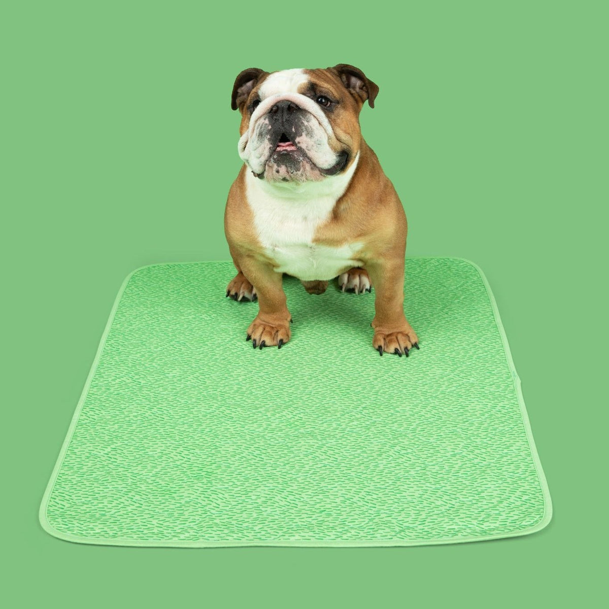 Washable Pee Pads for Dog Training - Potty Buddy™