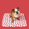 Washable Pee Pads for Dog Training - Potty Buddy™