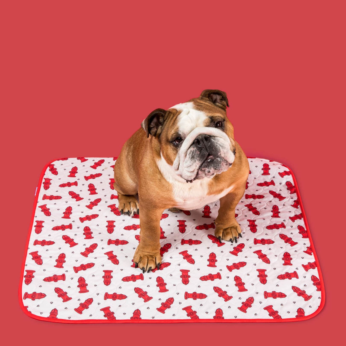 Washable Pee Pads for Dog Training - Potty Buddy™