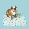 Washable Pee Pads for Dog Training - Potty Buddy™