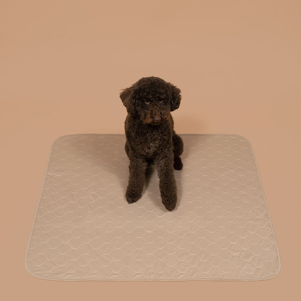 Washable Pee Pads for Dog Training - Potty Buddy™
